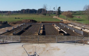Concrete Pads | Cow Feeding Pads | Feed Bins | Effluent Solutions NZ