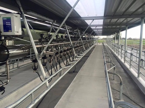 Herringbone Shed | Cowsheds NZ | Rural Construction | Waikato Builders